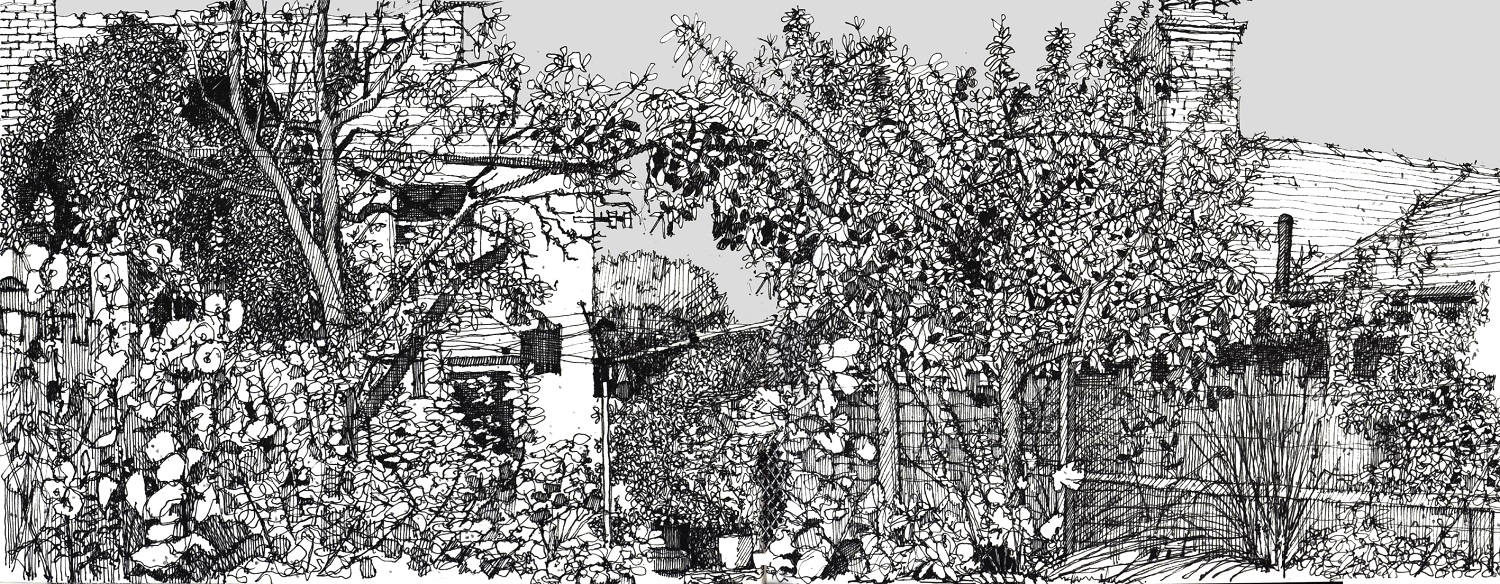 Summer Garden – Mike Biddulph Drawings