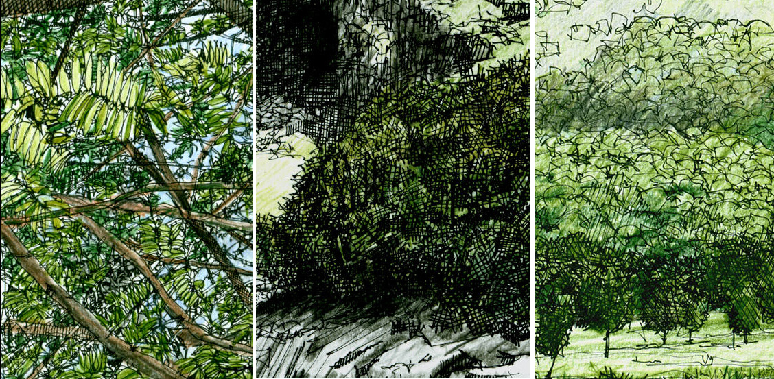 Reflections – Mike Biddulph Drawings